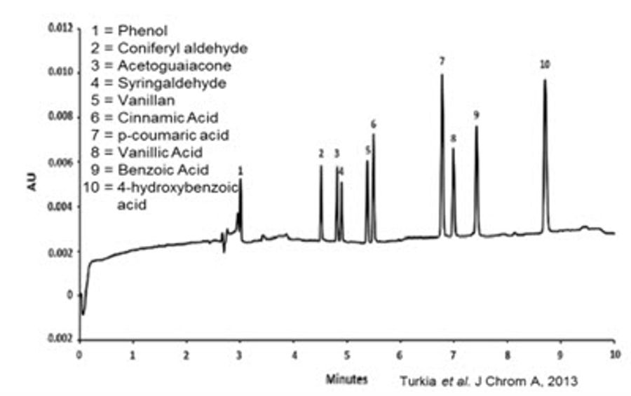 SCIEX Capillary Electrophoresis System