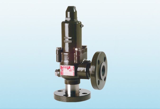 Technical 10000 Series Safety Valve