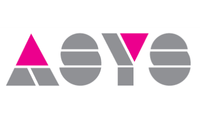 ASYS Group Profile