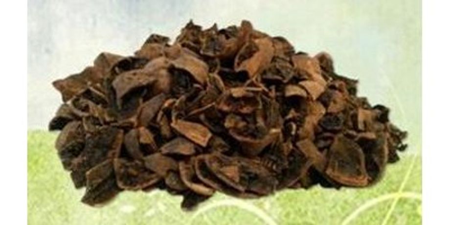 Texas Native Pecan Mulch