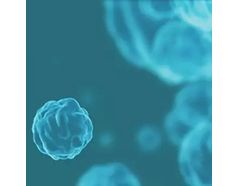 5 Key Principles Of Cleanroom Particle Counting | Environmental XPRT