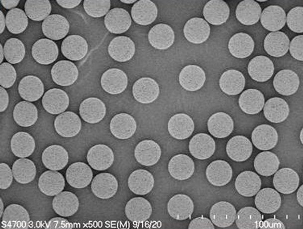 Sepax Proaqa - Excel - Affinity Chromatography - HPLC Columns By Sepax ...