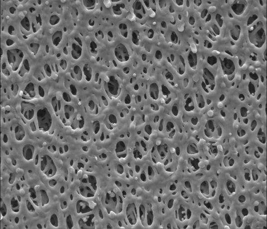 PES - Membrane Filter - Membrane Filter By Tianjin Fuji ...