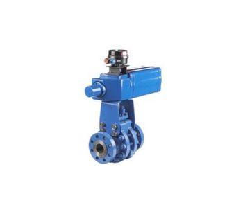 Neles - Series D - Emergency Shutdown Valves - Trunnion Ball Valve By ...