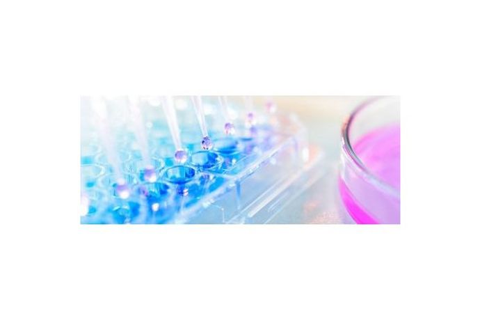 Kurita Ferrocid/Dilurit Biocidal Agents For Effective Water System ...