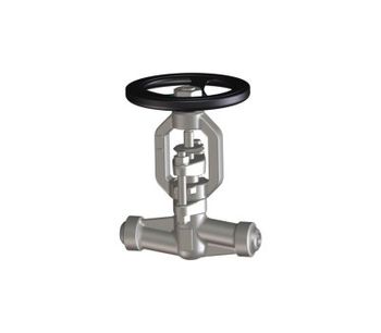 01.1 - Globe Valves - Bonnetless Forged Steel Globe Valves By ...