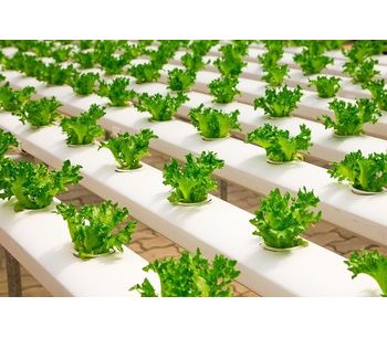 Aclarus - Ozone And Hydroponics By Aclarus Ozone
