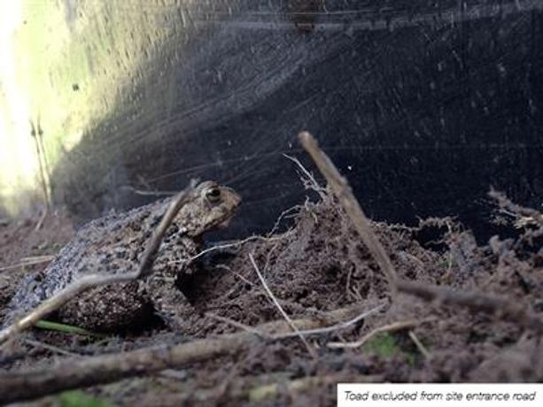Wildlife Fencing - Frog And Toad Fencing By Animex ...