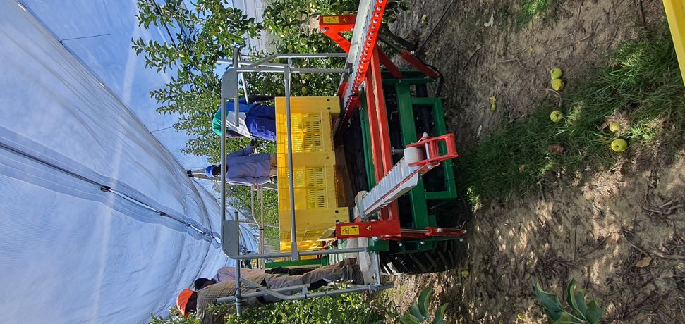 Argiles AF3 Fruit Harvester With Pruning And Net Mounting