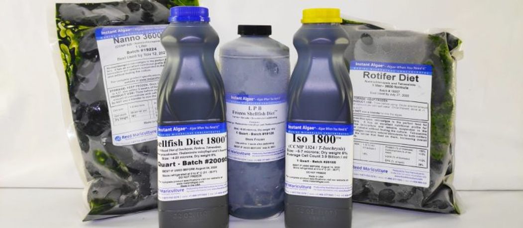 Varicon-Aqua Instant Algae Concentrate