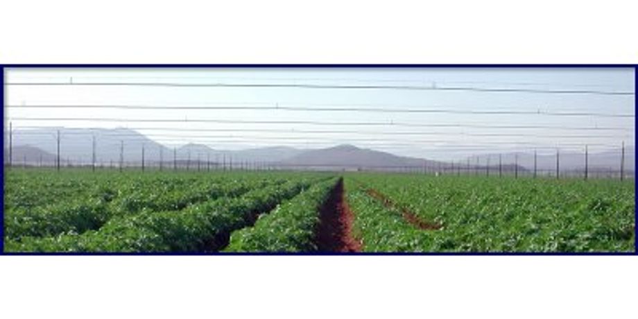 Overhead Sprinkler Cable System By Floppy Sprinkler (Pty) Ltd