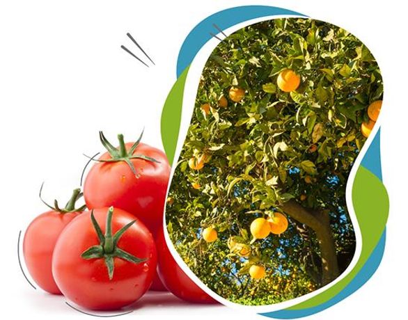 Isagri - Field Management Software By ISAGRI | Agriculture XPRT