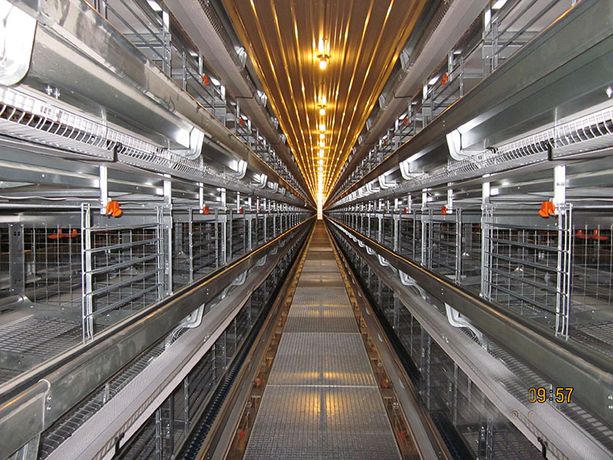 Hershey - Poultry - Enrichable Cage System By Hershey ...
