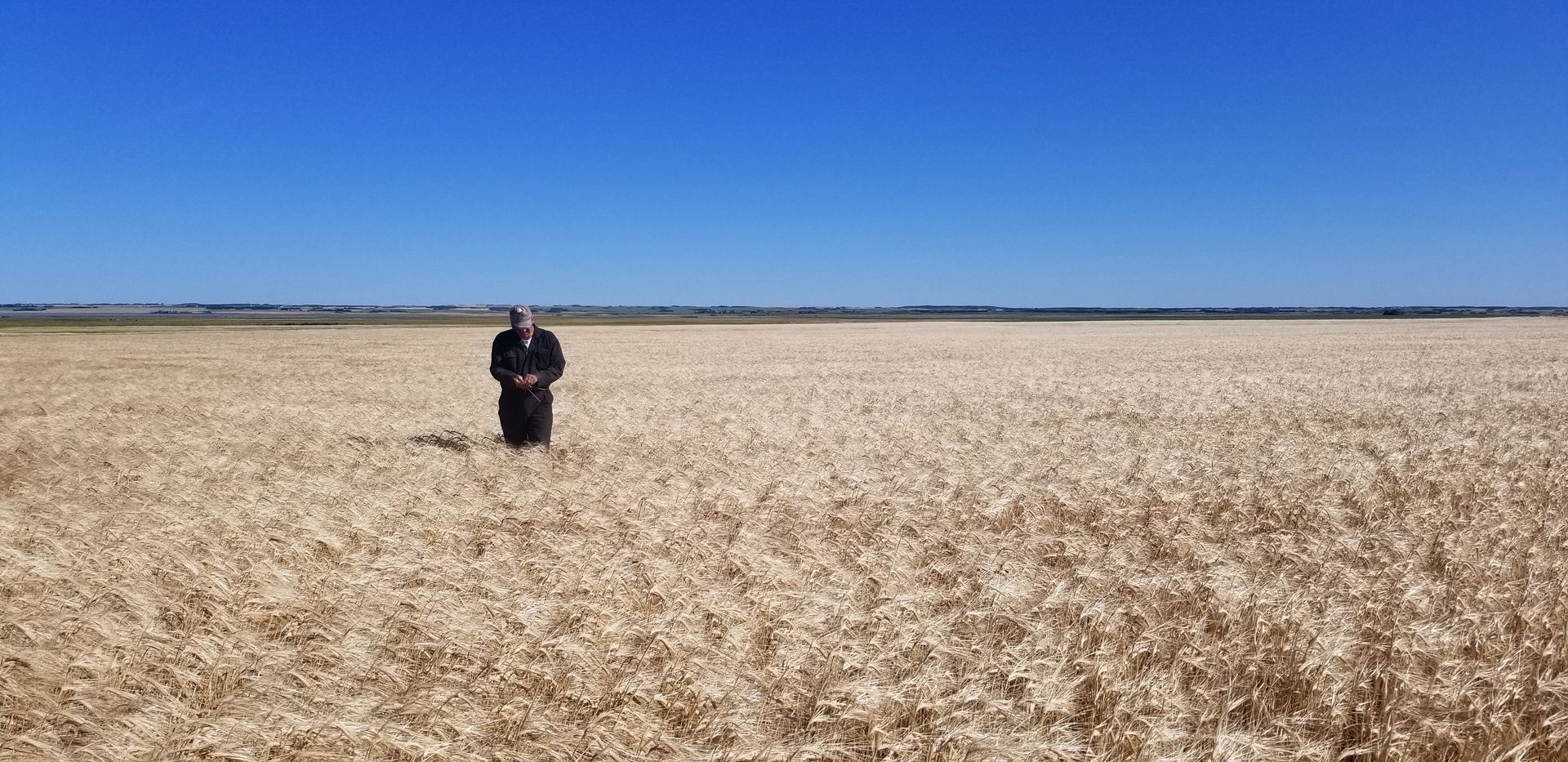Waterproof Tote Storage Bin With Snap Over Lid By Buffer ...