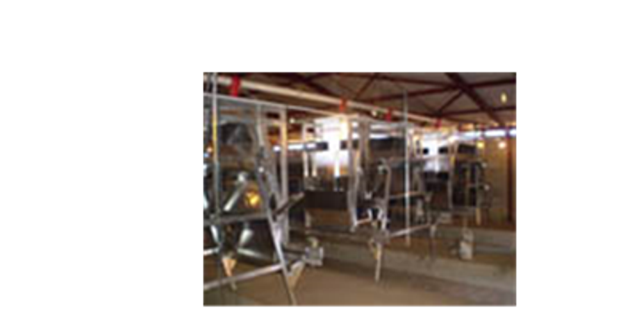 Gantry Feeding Systems For Layer Cages