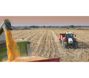 Liquozyme - Bioenergy - Eight Alpha-Amalyses Ethanol By ...