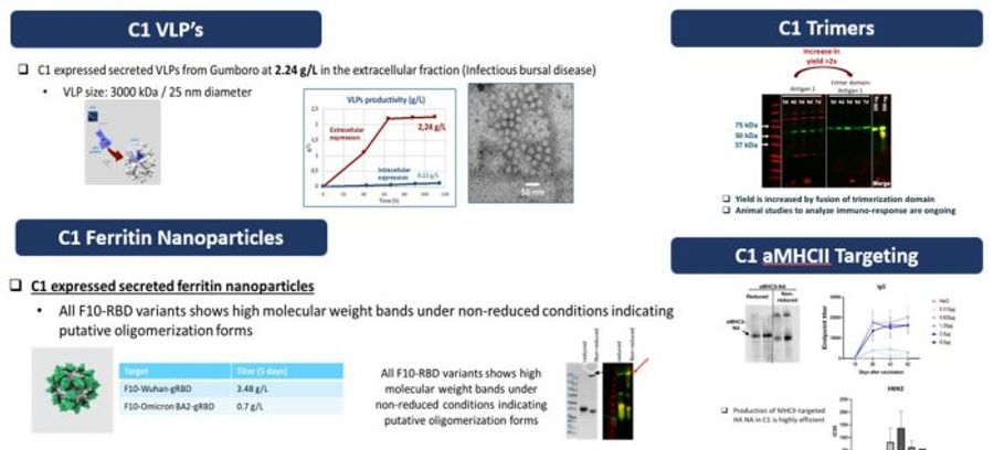 C1-Cell - Technology - C1-Cell Protein Production Platform ...