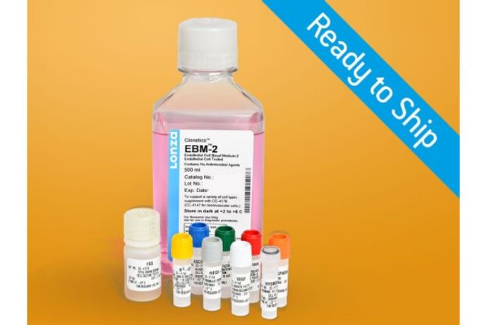 Lonza - EGM-2 - Primary And Stem Cells - Endothelial Cell ...