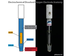 Comparison Of Dissolved Oxygen Sensors | Environmental XPRT