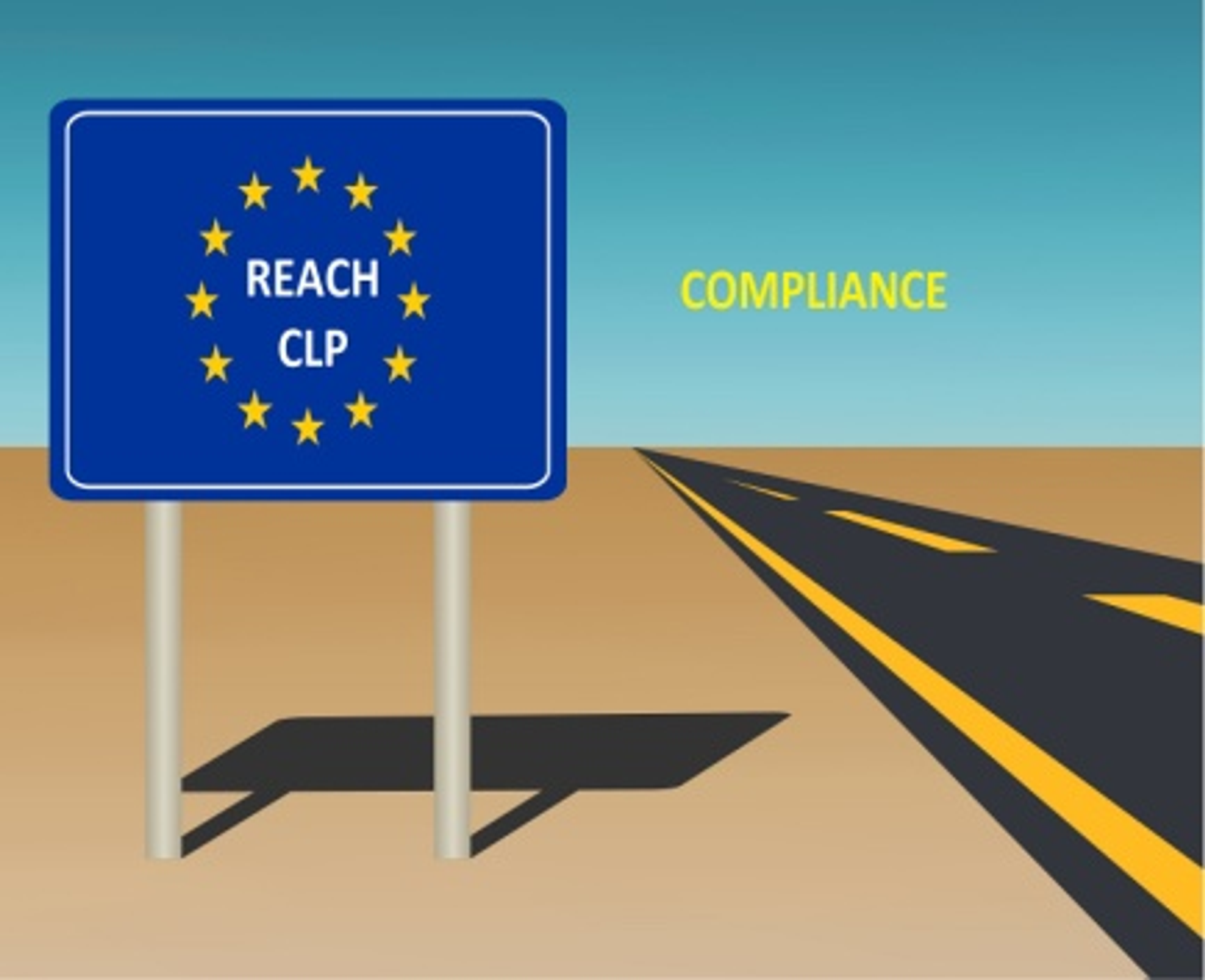 Project - Internal Document For Reach Authorisation ...