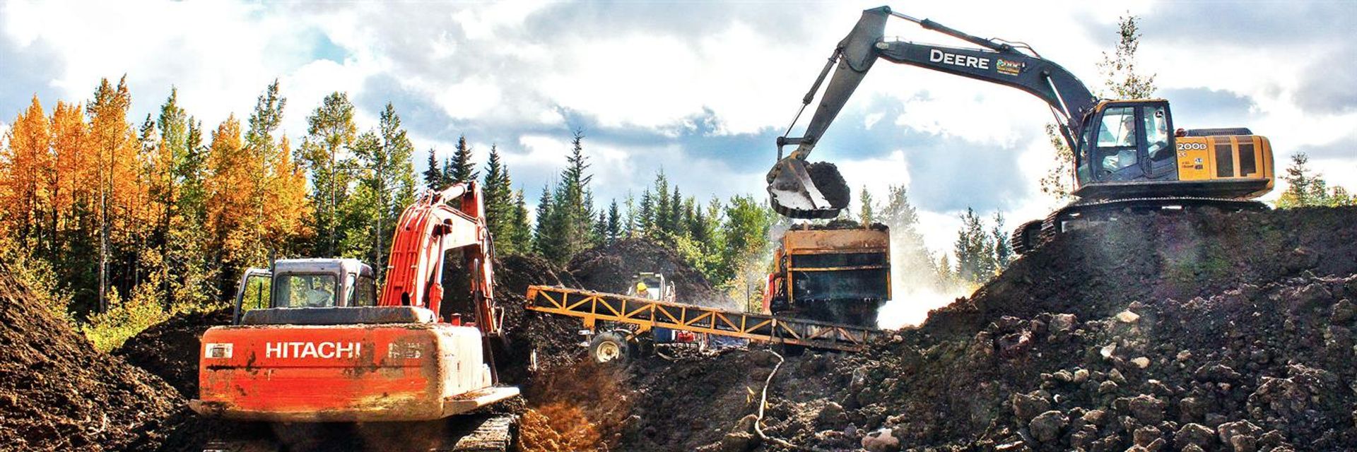 Bioaugmentation Vs Biostimulation: A Comprehensive Guide To ...