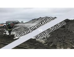 Bioaugmentation Vs Biostimulation: A Comprehensive Guide To ...