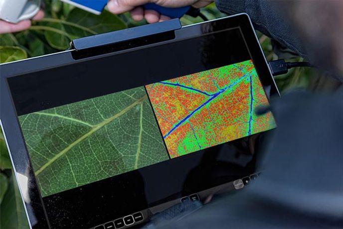 Phenocheck - Plant Science - Chlorophyll Fluorescence Sensor ...