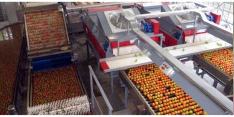 Aweta - Vegetable Sorting - Tomato Sorting Systems By Aweta