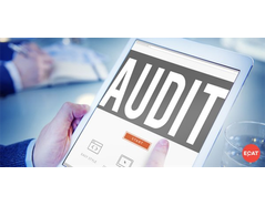 What Is Audit Management Software And How Is It Useful?