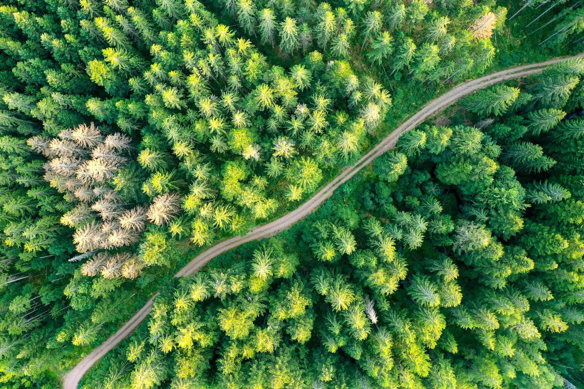 Komptech Multistar - L3 - Screening - Star Screens - Mobile ...