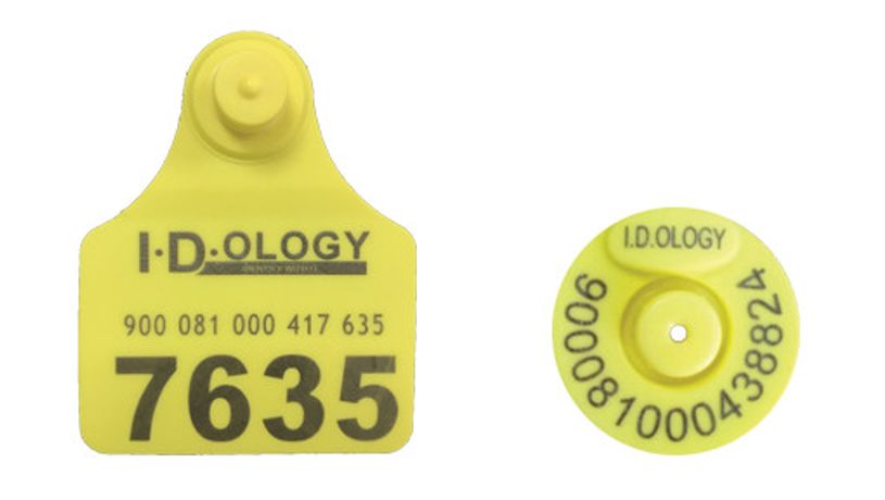 Idology - My-EID & My-GVT - Large Animal Ear Tags - Button Ear Tags ...