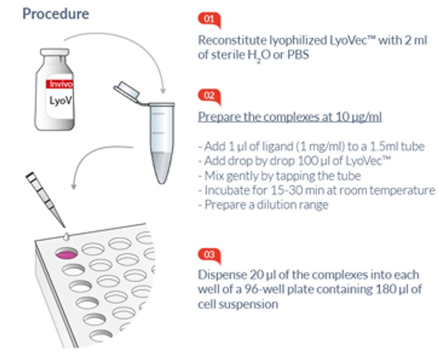 Lyovec - Cell Culture - Cell Transfection - Lyophilized Lipid-Based ...