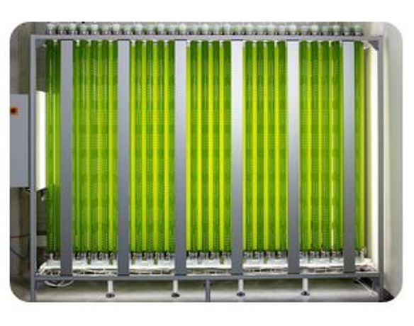 Jumbo Industrial Photobioreactor System