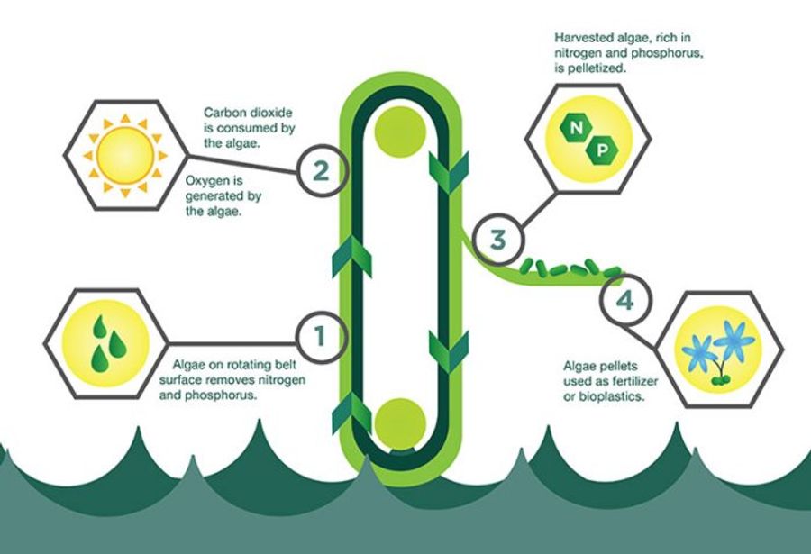 Gross-Wen - Revolving Algal Biofilm (RAB) Wastewater Treatment Process ...