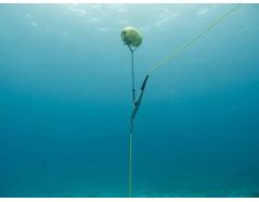 Spotter Buoy - Sofar - Sofar Marine Sensing Devices - Open Ocean ...