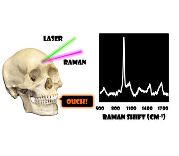 Shining A Light On Bone Composition Using Raman Spectroscopy