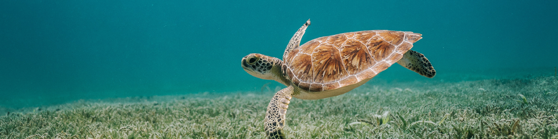 Optimarin - Model Ex - Ballast Water Treatment System (BWTS) Brochure