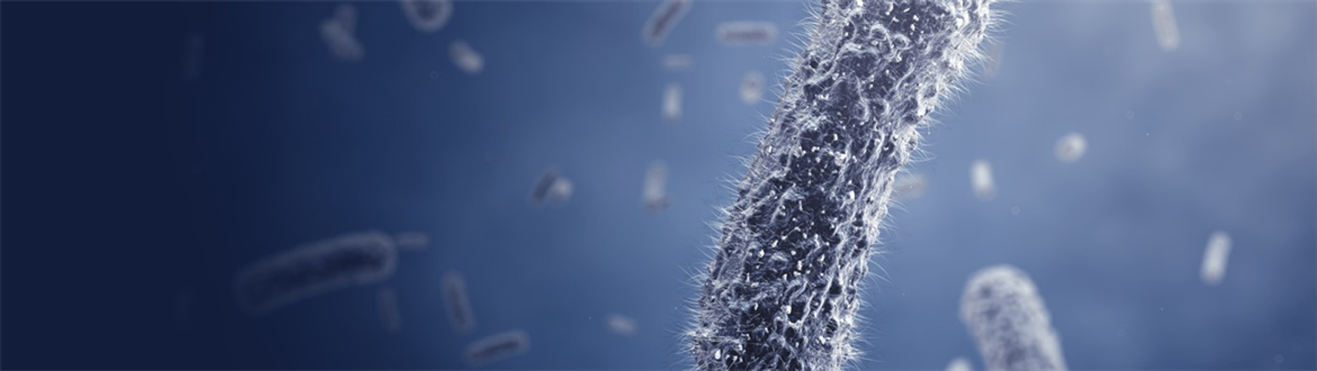 Luminultra Technologies Ltd. - Innovative Microbiological Monitoring ...