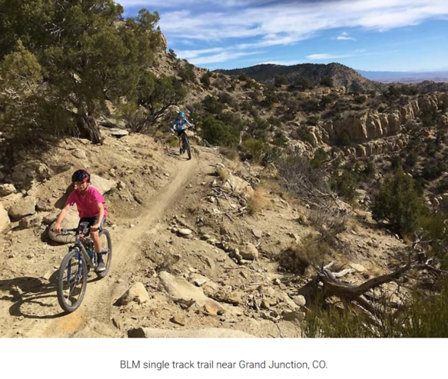 Sutter 300 Mini Trail Dozer