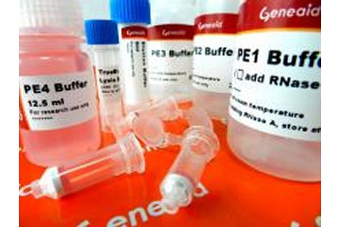 Geneaid Presto - PEH100 - DNA Extraction - Plasmid DNA ...