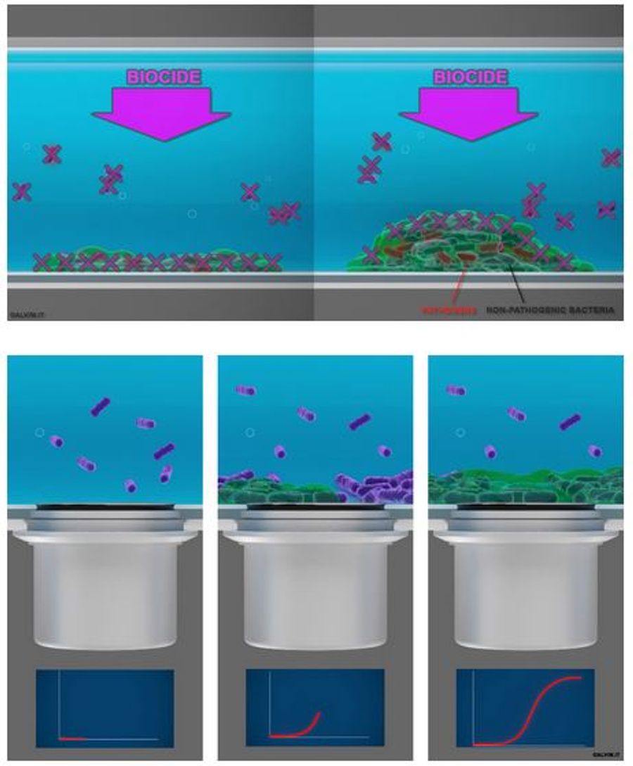 Alvim Biofilm Monitoring System