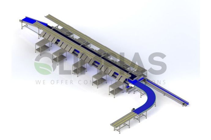 Olimpias - Complete Processing Lines - Table Grapes Processing Line By ...