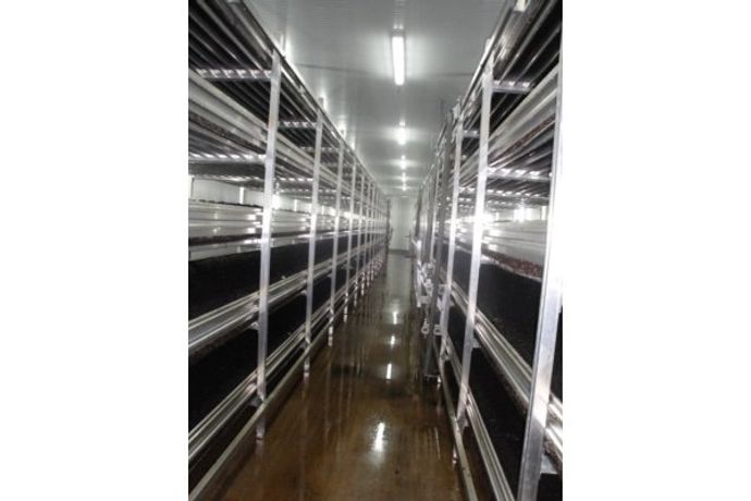 Insect Engineer - ZOEM - Larvae Production - Insect Rack ...