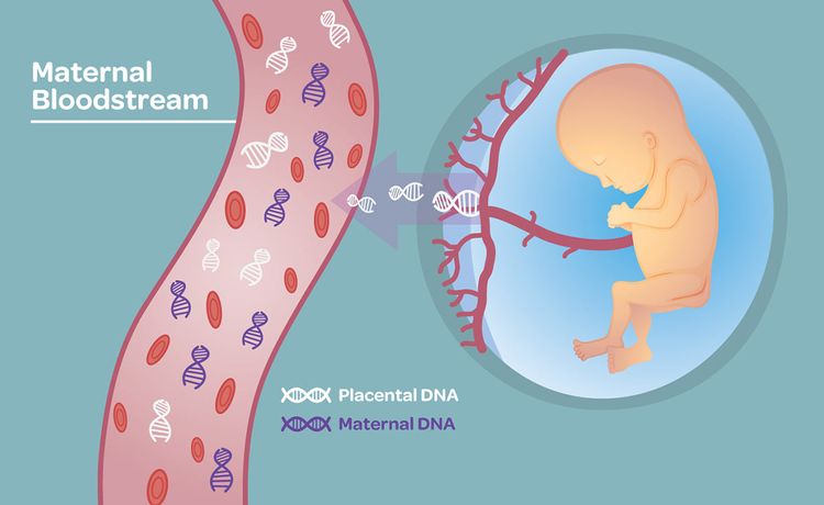Sage - Non-Invasive Prenatal Testing (NIPT) - Non-Invasive Prenatal ...