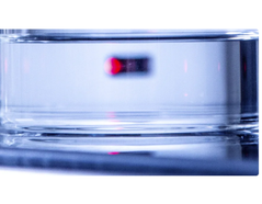 BUCHI - E-800 - Instruments - Extraction - Universal ...