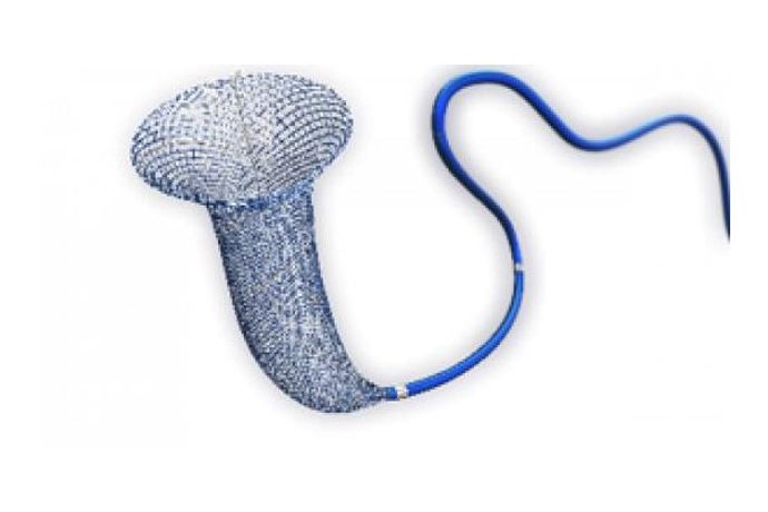 Microport Tubridge - Healthcare Professionals - Hemorrhagic Stroke ...