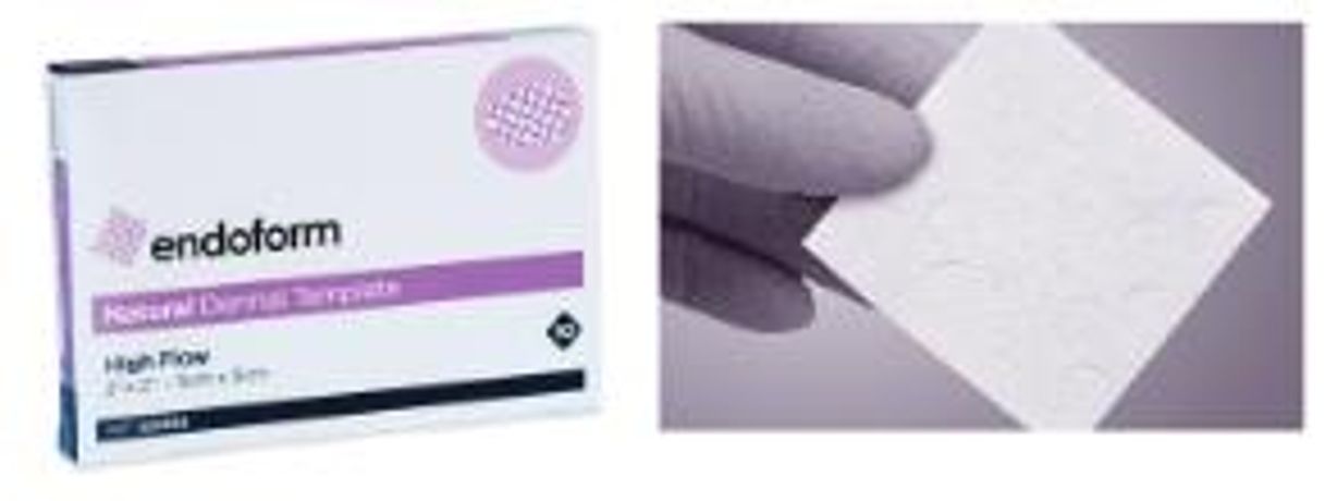 Endoform High Flow Antimicrobial And Natural Restorative Bioscaffold