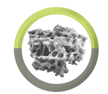 Biogennix Advanced Bone Graft Material For Nanocrystalline Surface