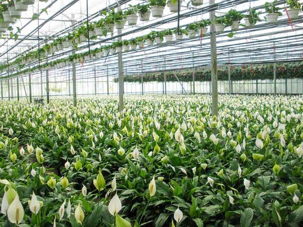 Metazet Formflex - Hanging Basket System By Metazet Formflex B.V.