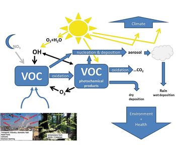 What Are Vocs? What’S The Harm? How To Manage Vocs?